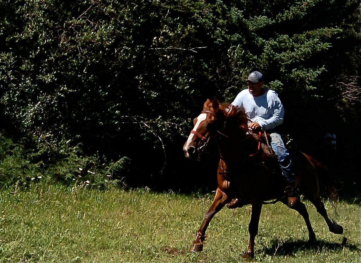 Michael Lares - Flying "L" Ranch
